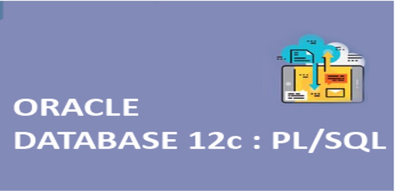 Instructor Led Classroom and Online Trainings with Certification | VION ...